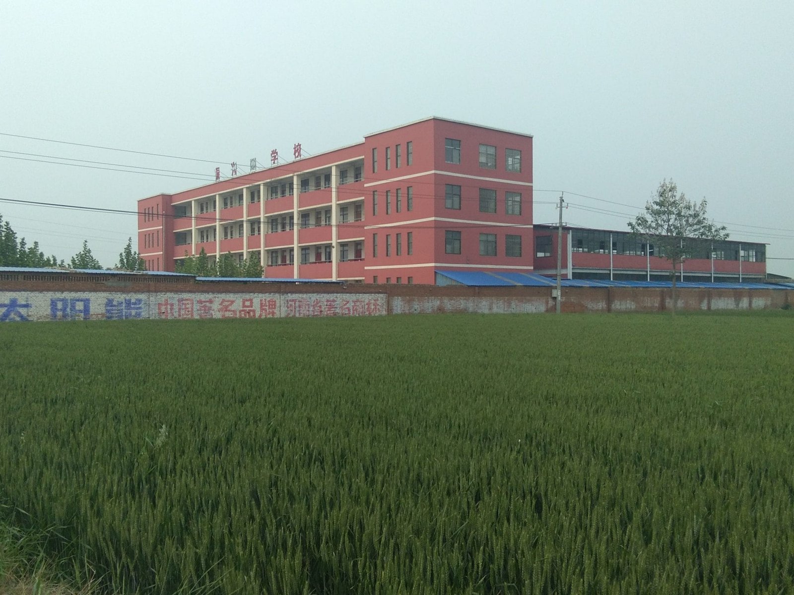 The Rise and Fall of Ark School